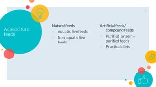 Types of feed | PPTX