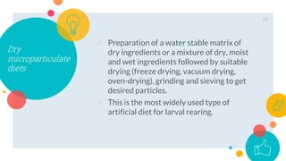 Types of feed | PPTX