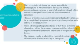 Types of feed | PPTX