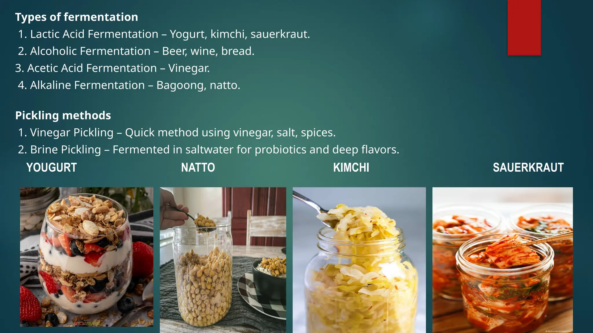 TYPES OF FERMENTATION & PICKLING.pptx food tech.pptx