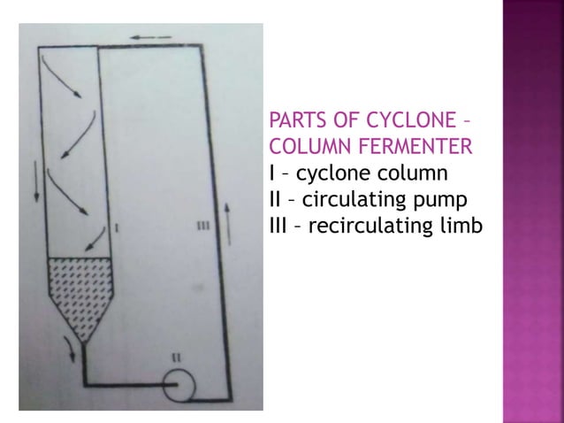 Types of fermenter | PPTX | Chemistry | Science
