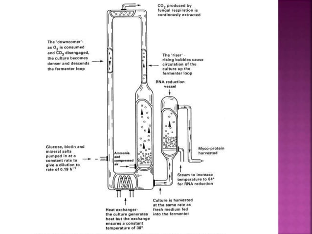 Types of fermenter | PPTX | Chemistry | Science