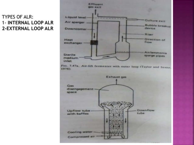 Types of fermenter | PPTX | Chemistry | Science