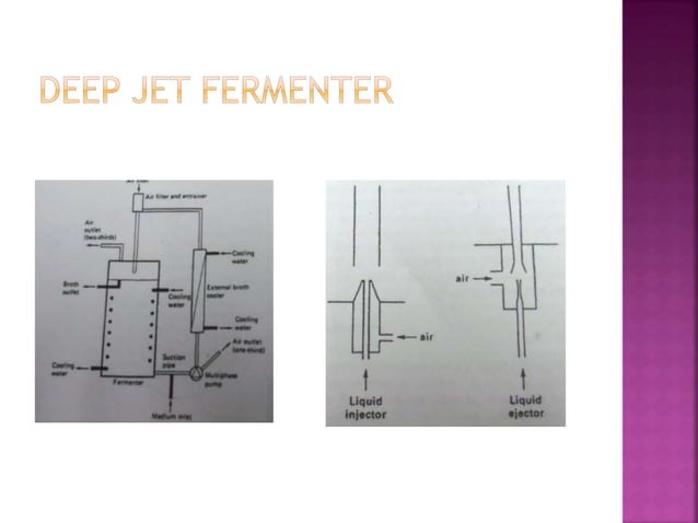 Types of fermenter | PPTX | Chemistry | Science