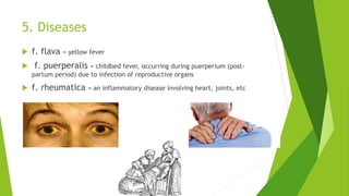 TYPES_OF_FEVER (pyrexia) singh and symtms | PPT