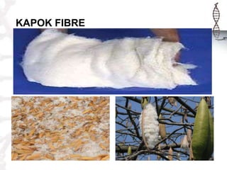 Types of textile fiber | PPT
