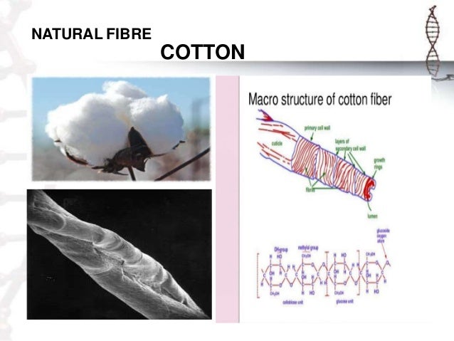 Types of textile fiber