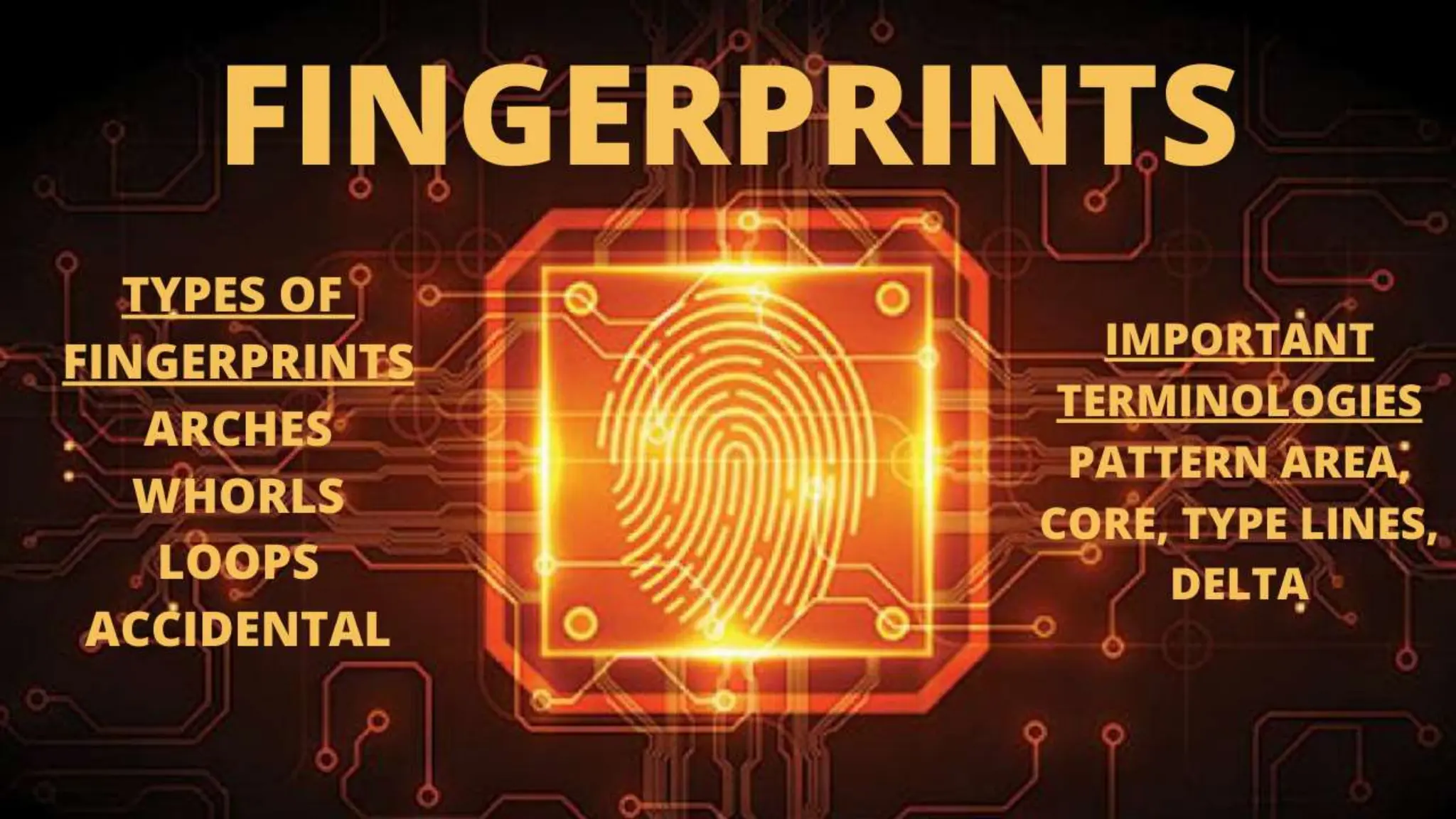 TYPES OF FINGERPRINT SCIENCE PRESENTATION.pptx