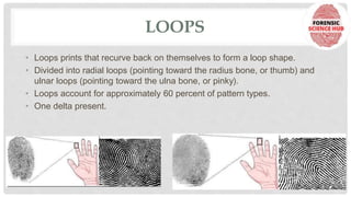TYPES OF FINGERPRINT SCIENCE PRESENTATION.pptx
