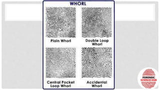 TYPES OF FINGERPRINT SCIENCE PRESENTATION.pptx