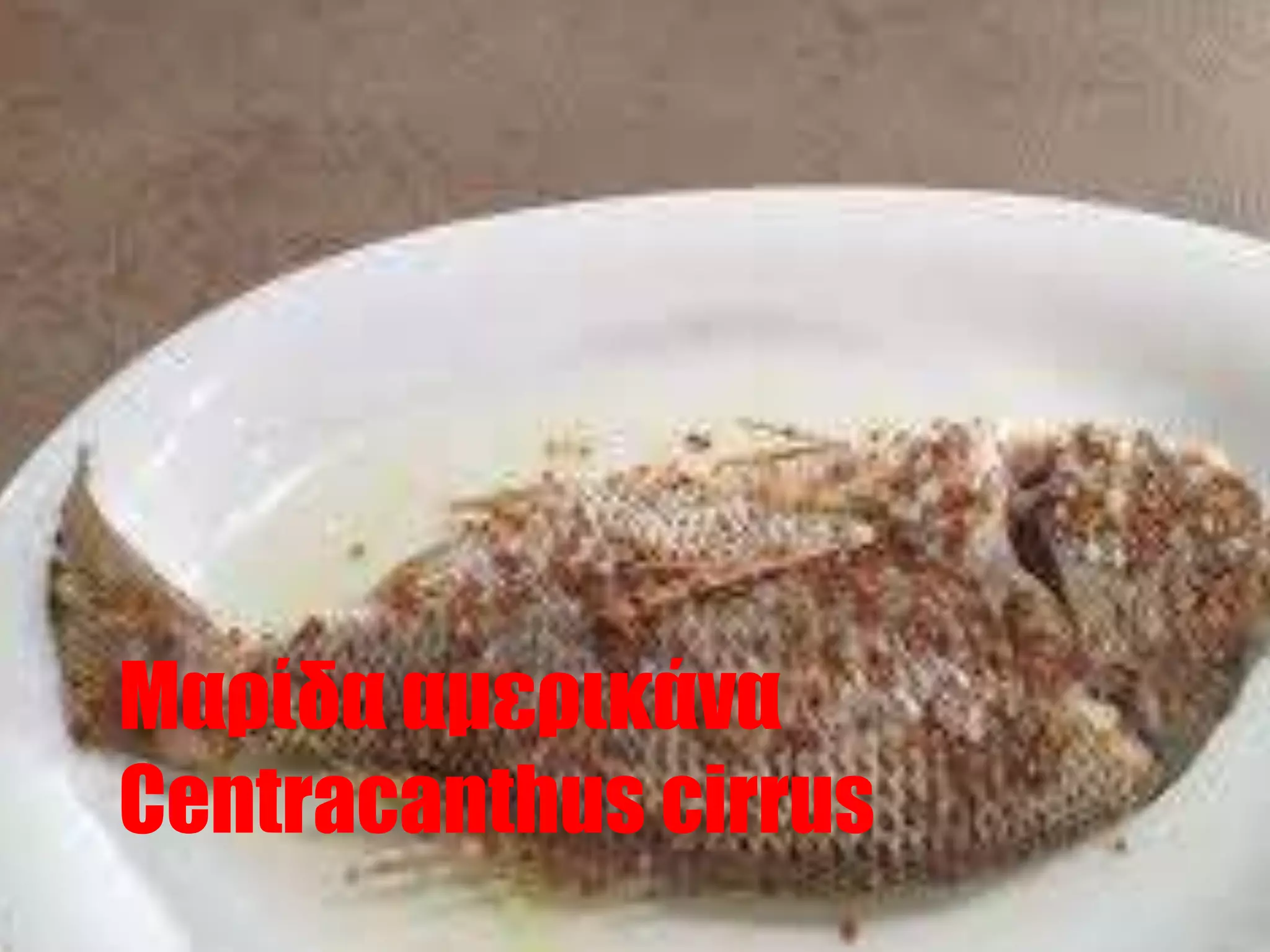 Types of fish 5f rom Cyprus | PPTX