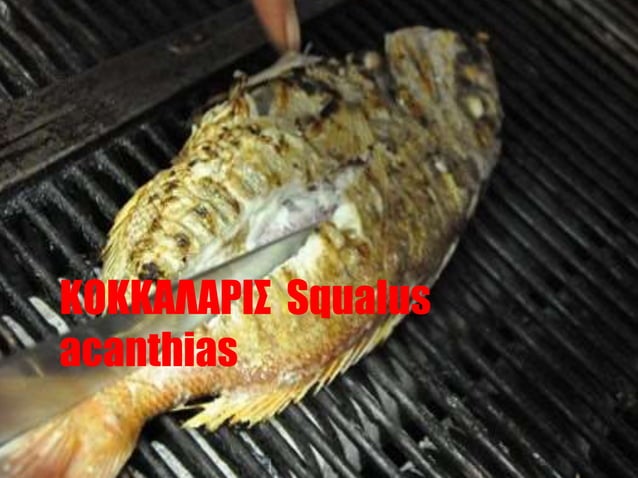 Types of fish 5f rom Cyprus | PPTX