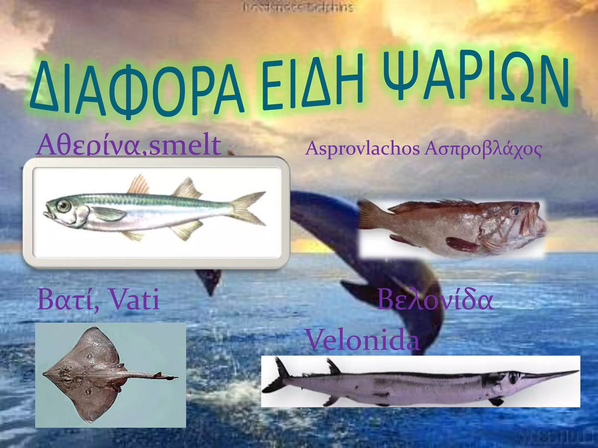 Types of fishes 3 from Cyprus | PPTX