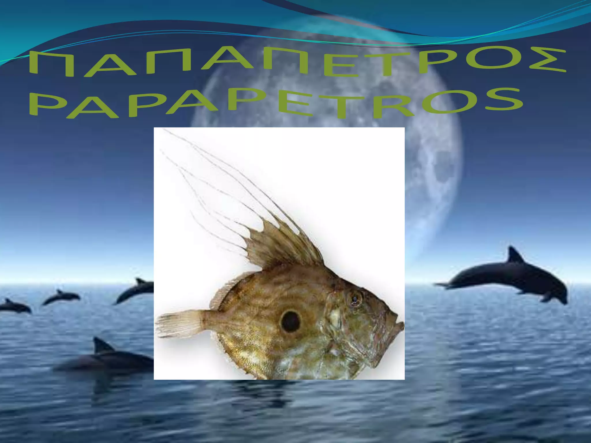 Types of fishes 3 from Cyprus | PPTX