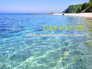 Types of fishes 3 from Cyprus | PPT