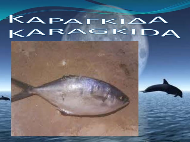 Types of fishes 3 from Cyprus | PPTX