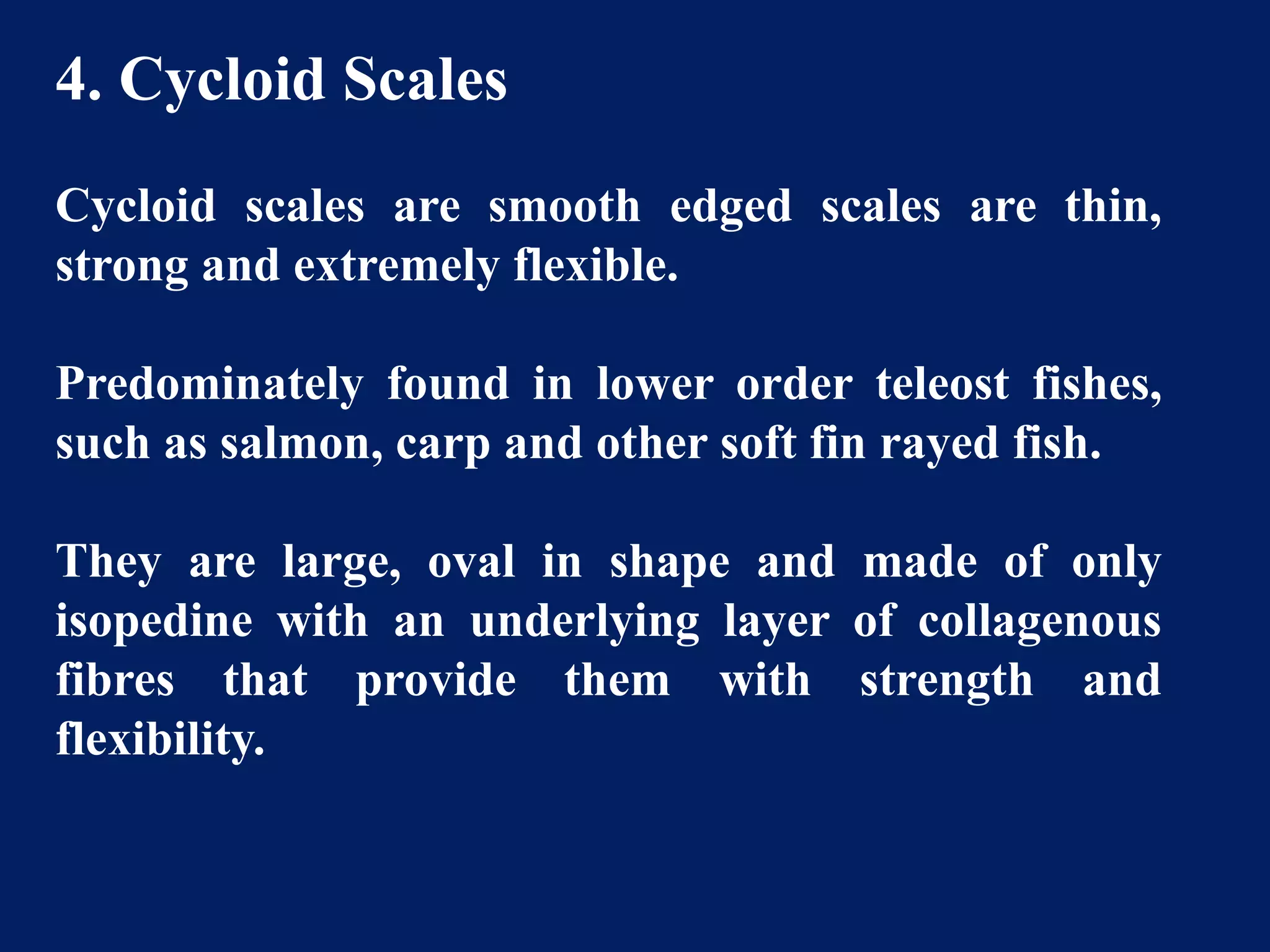 Types of fish scales | PPTX