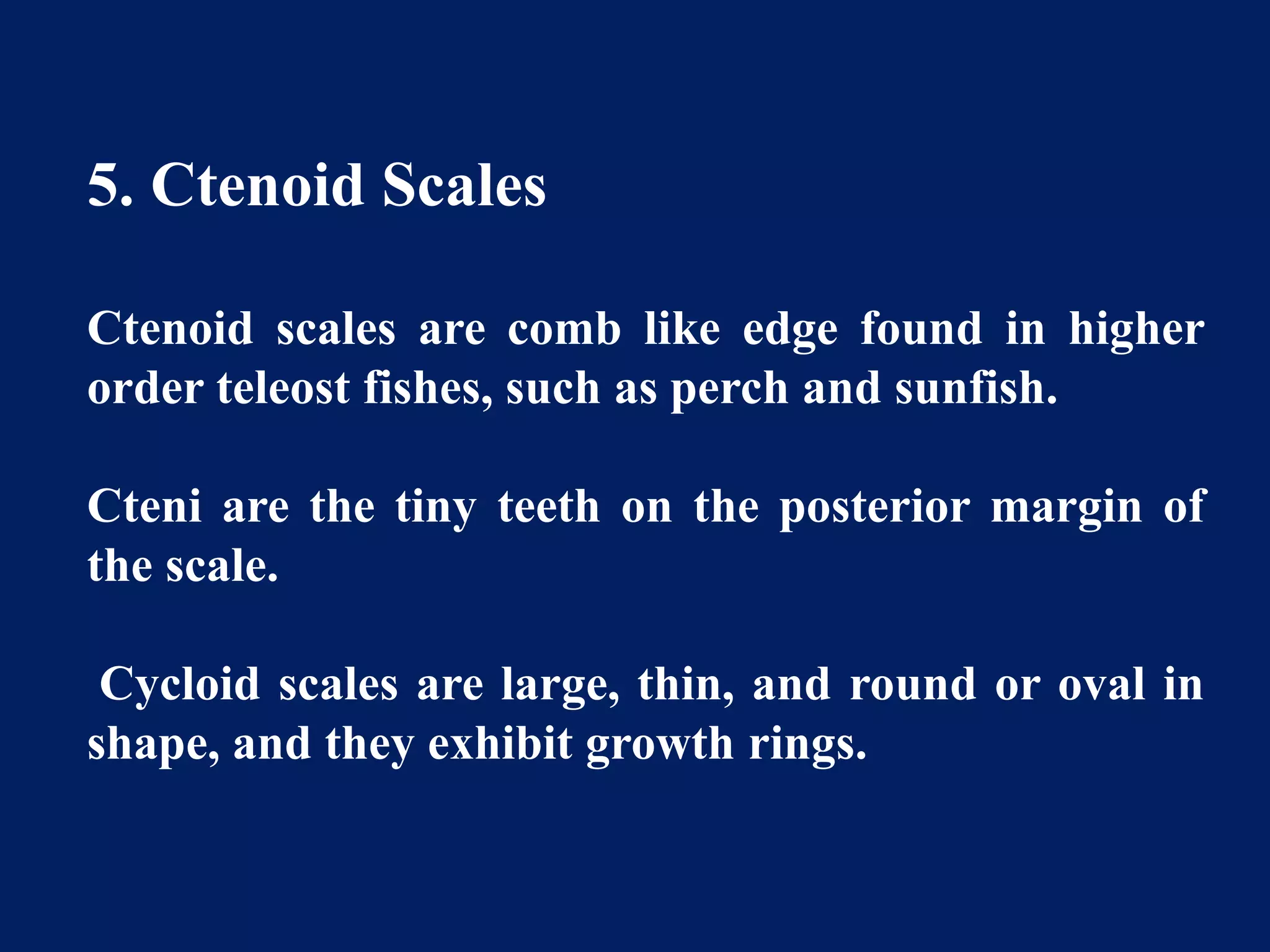 Types of fish scales | PPTX