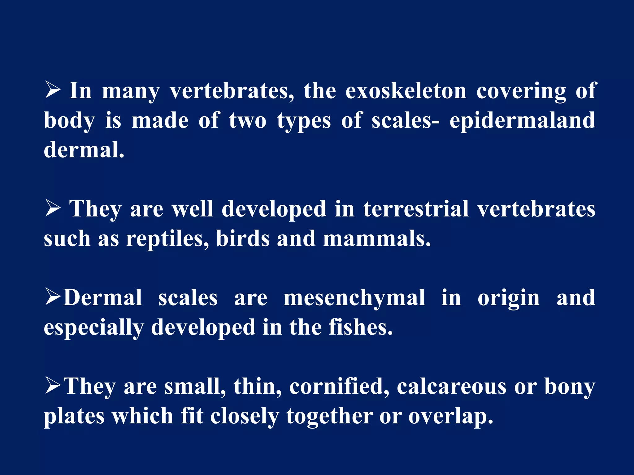 Types of fish scales | PPTX