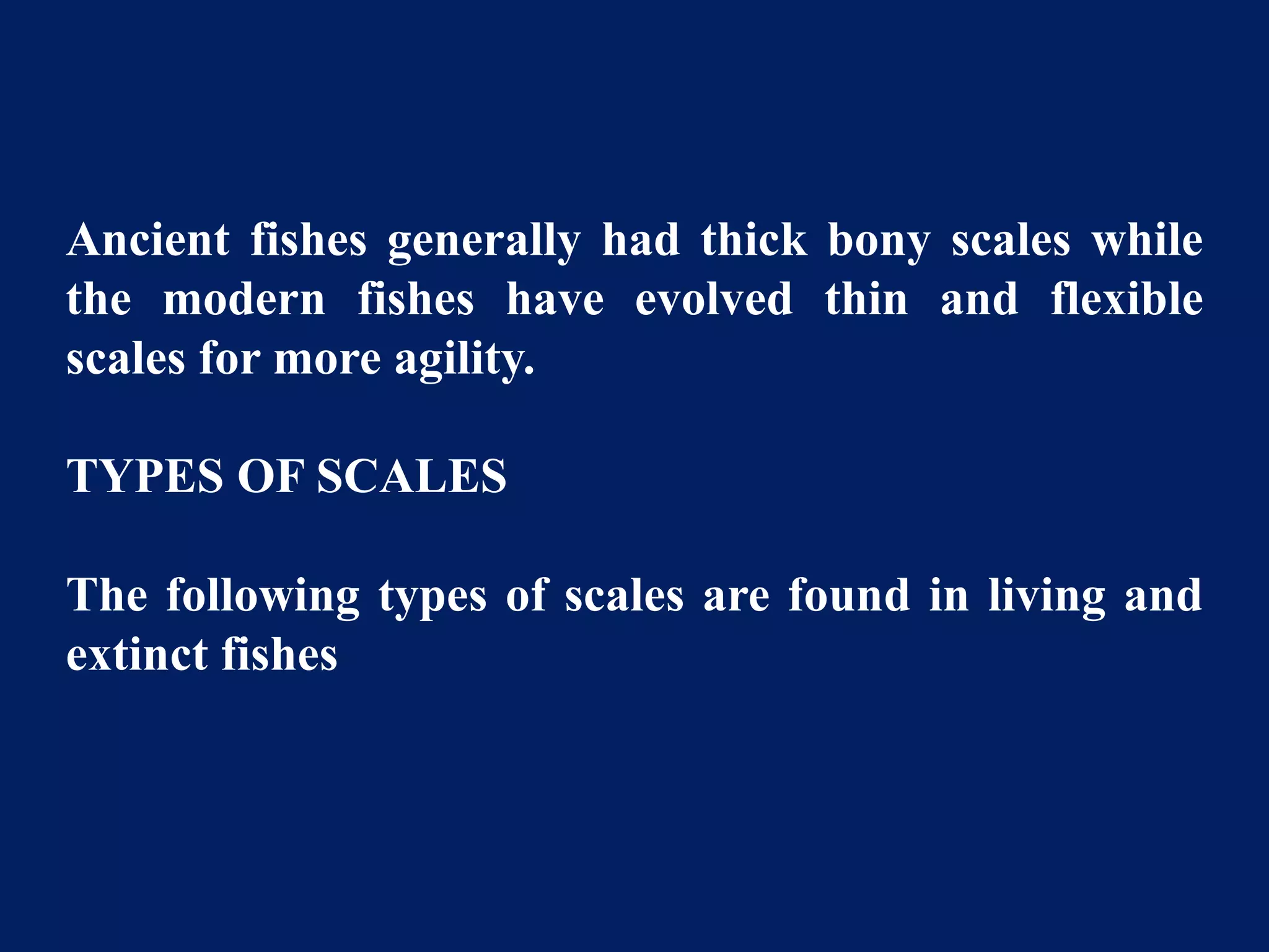 Types of fish scales | PPTX