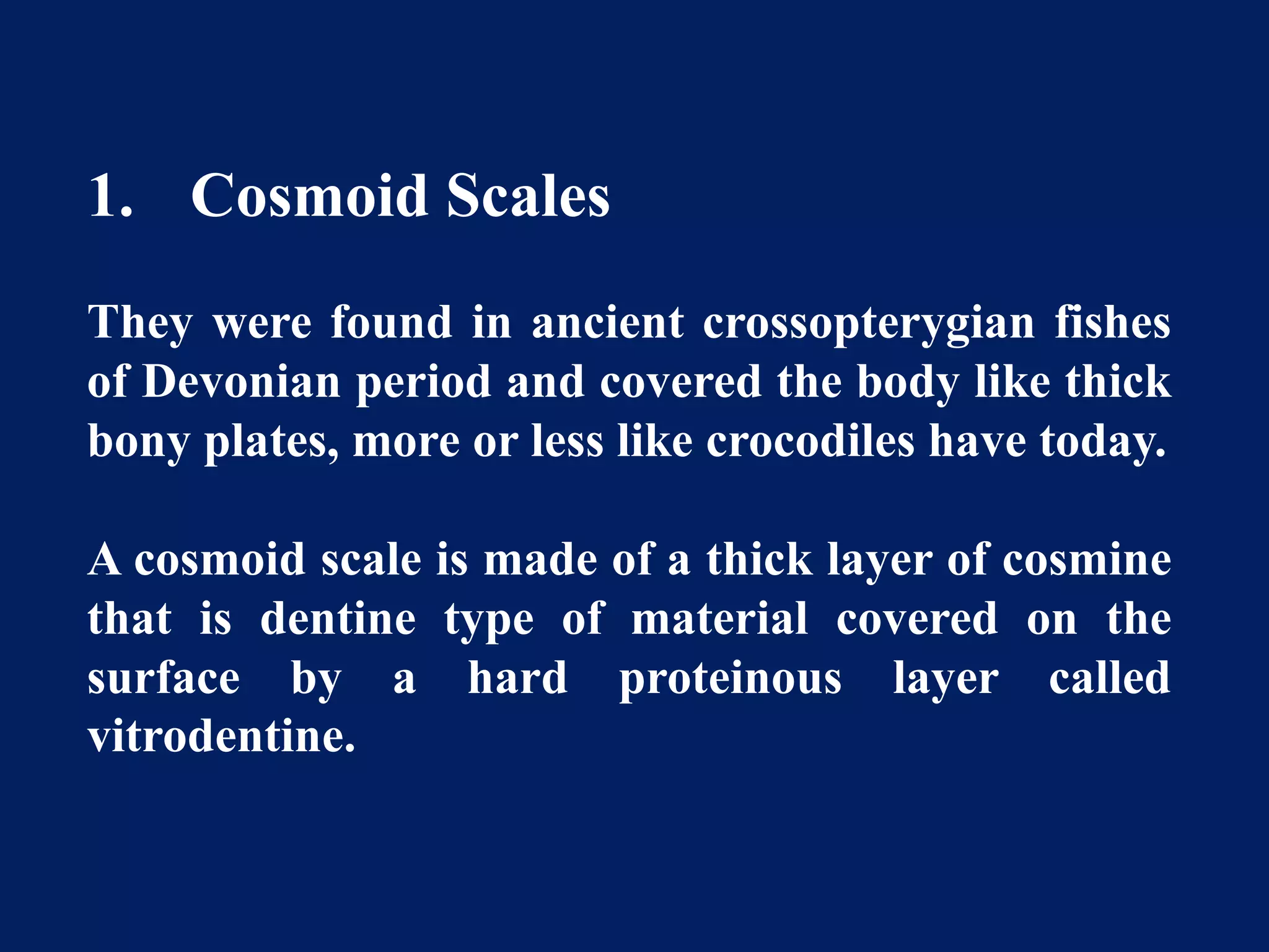 Types of fish scales | PPTX