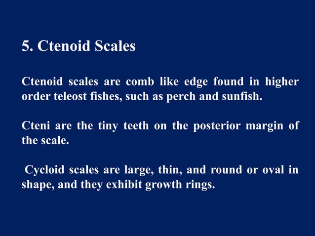 Types of fish scales | PPTX | Fish and Aquariums | Pets