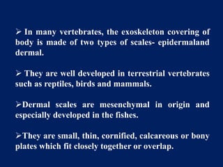Types of fish scales | PPTX