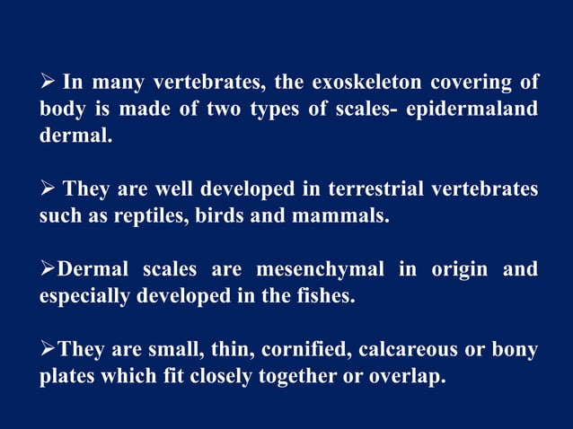 Types of fish scales | PPTX | Fish and Aquariums | Pets