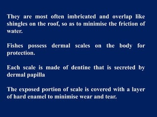 Types of fish scales | PPTX