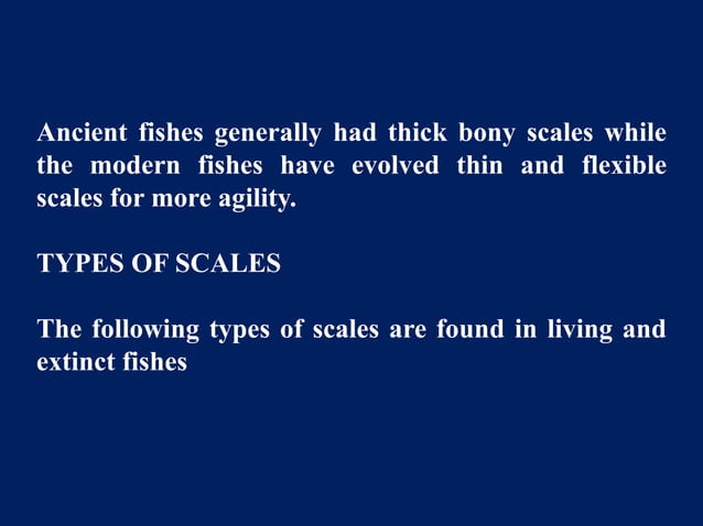 Types of fish scales | PPTX | Fish and Aquariums | Pets
