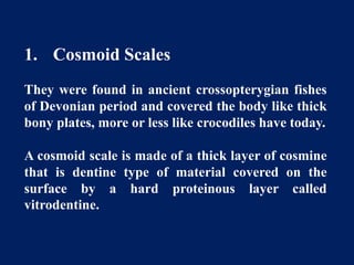 Types of fish scales | PPTX