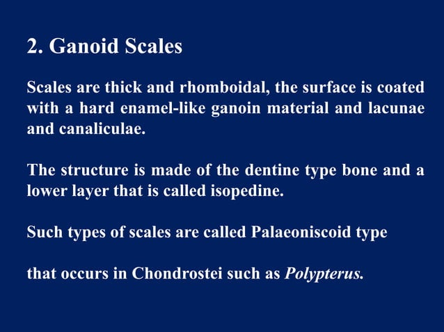 Types of fish scales | PPTX | Fish and Aquariums | Pets