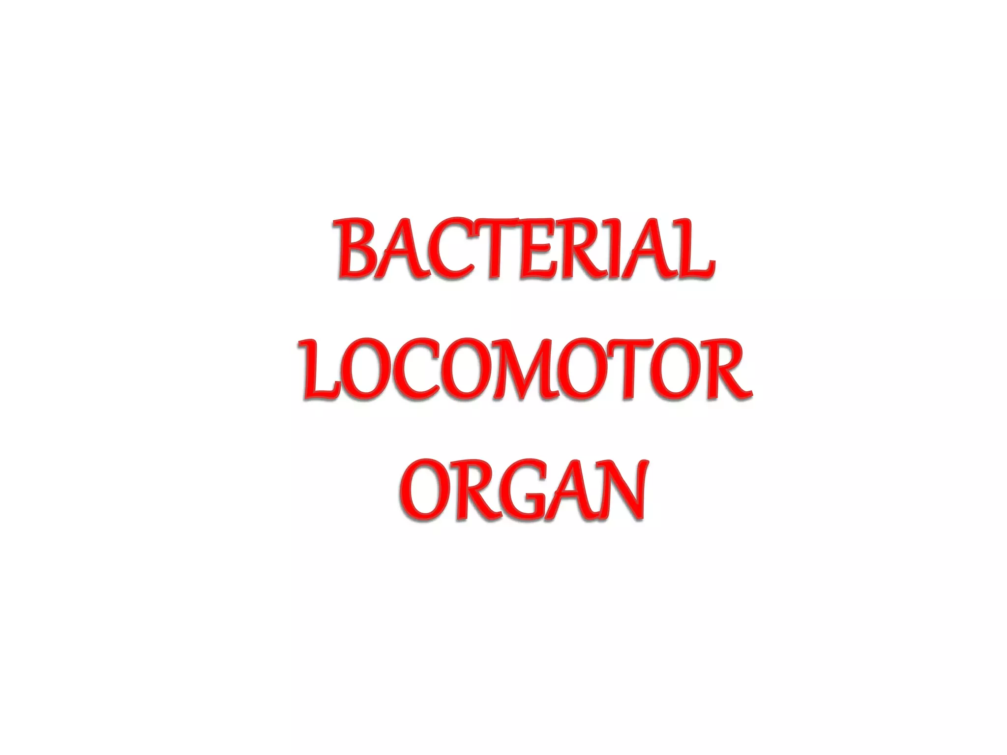 Types of flagella | PPTX