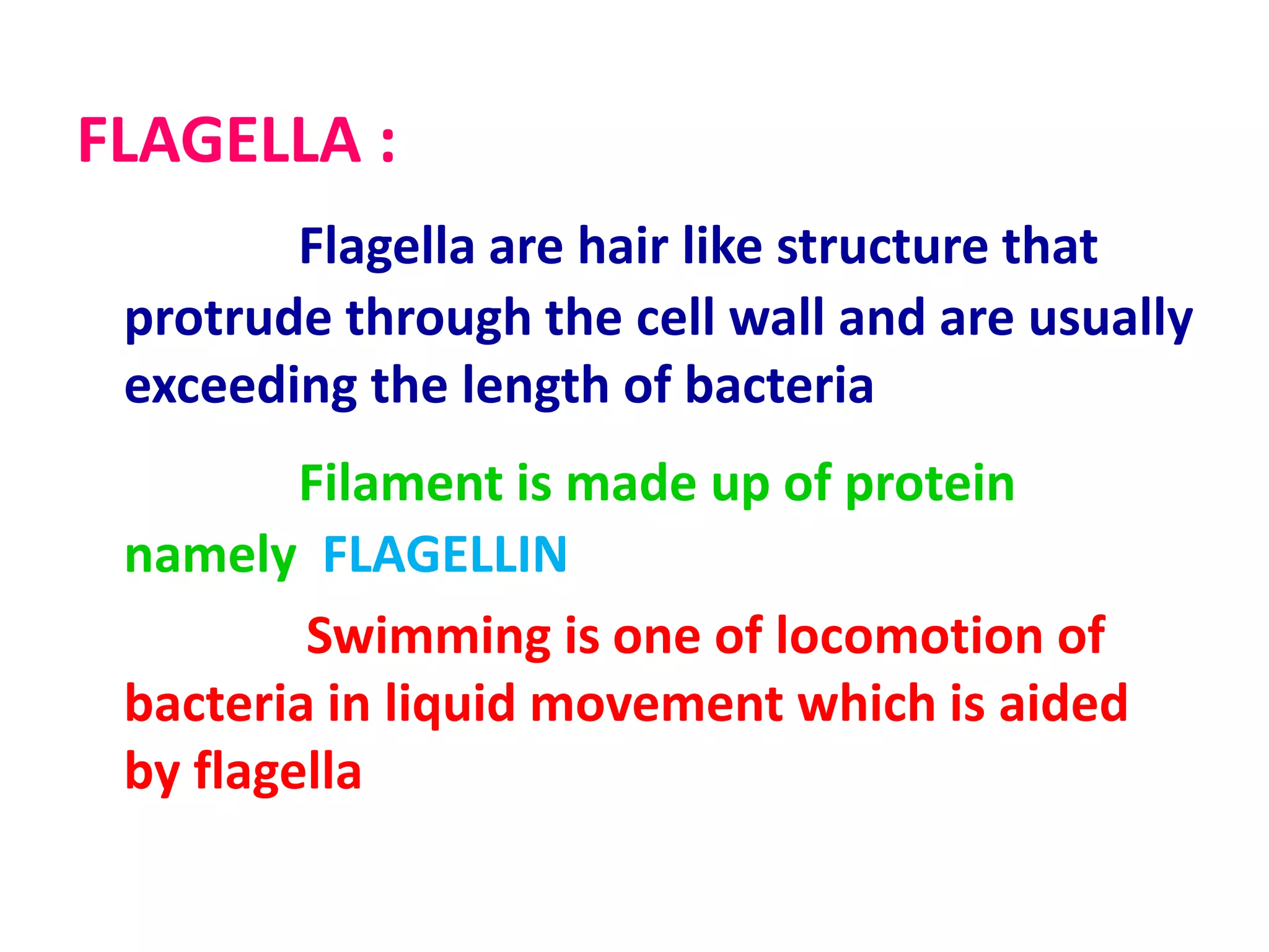 Types of flagella | PPTX