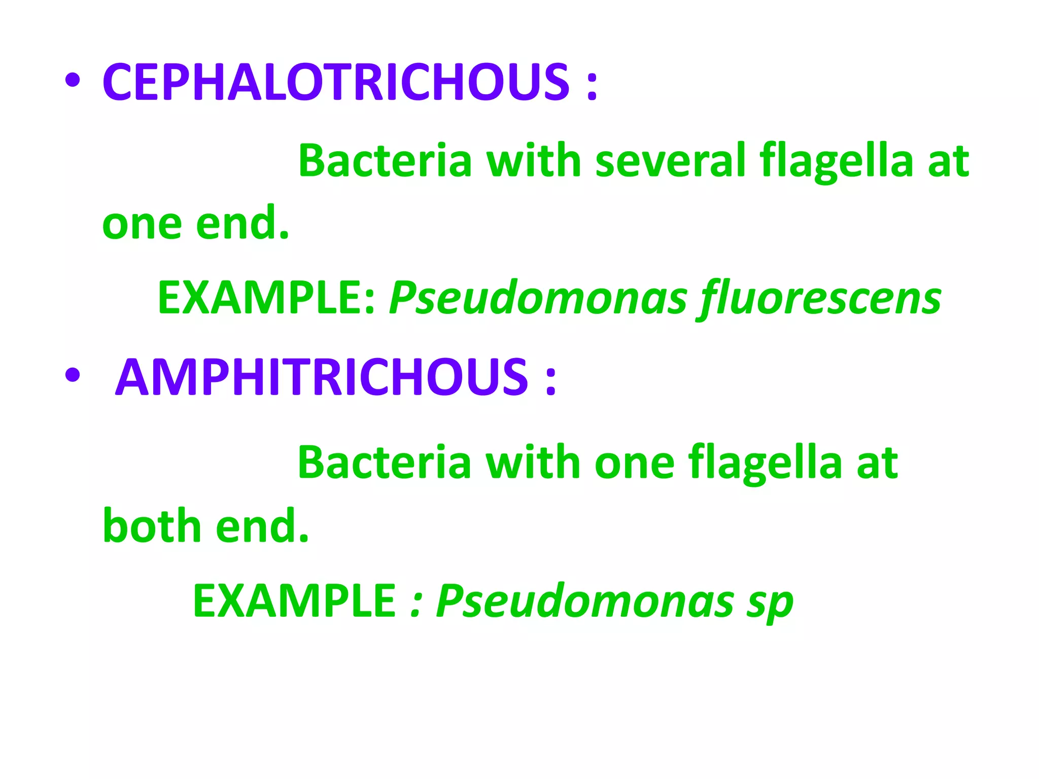 Types of flagella | PPTX