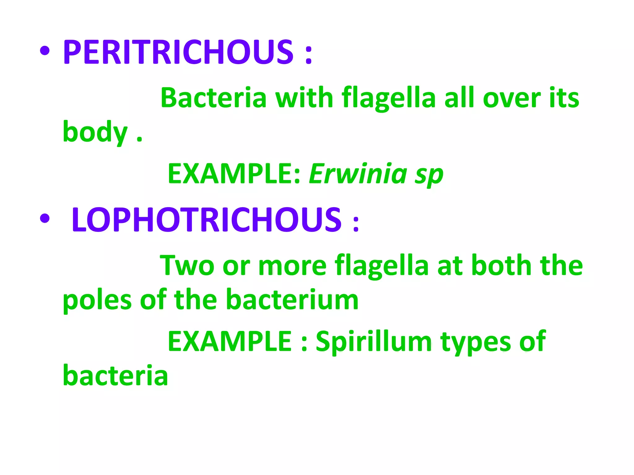 Types of flagella | PPTX