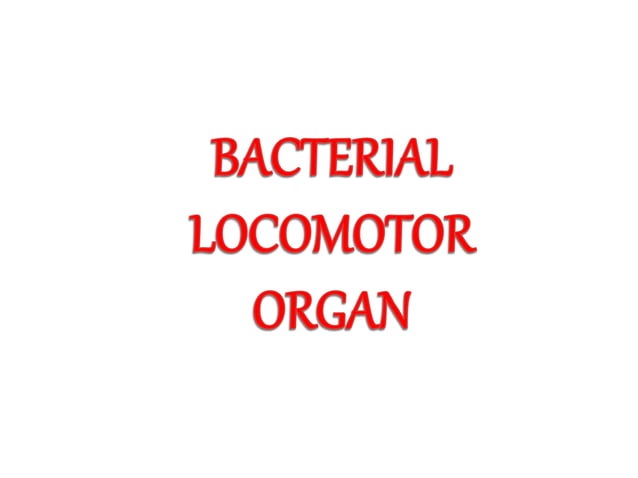 Types of flagella | PPTX | Biological Sciences | Science