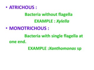 Types of flagella | PPTX