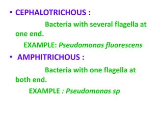 Types of flagella | PPTX
