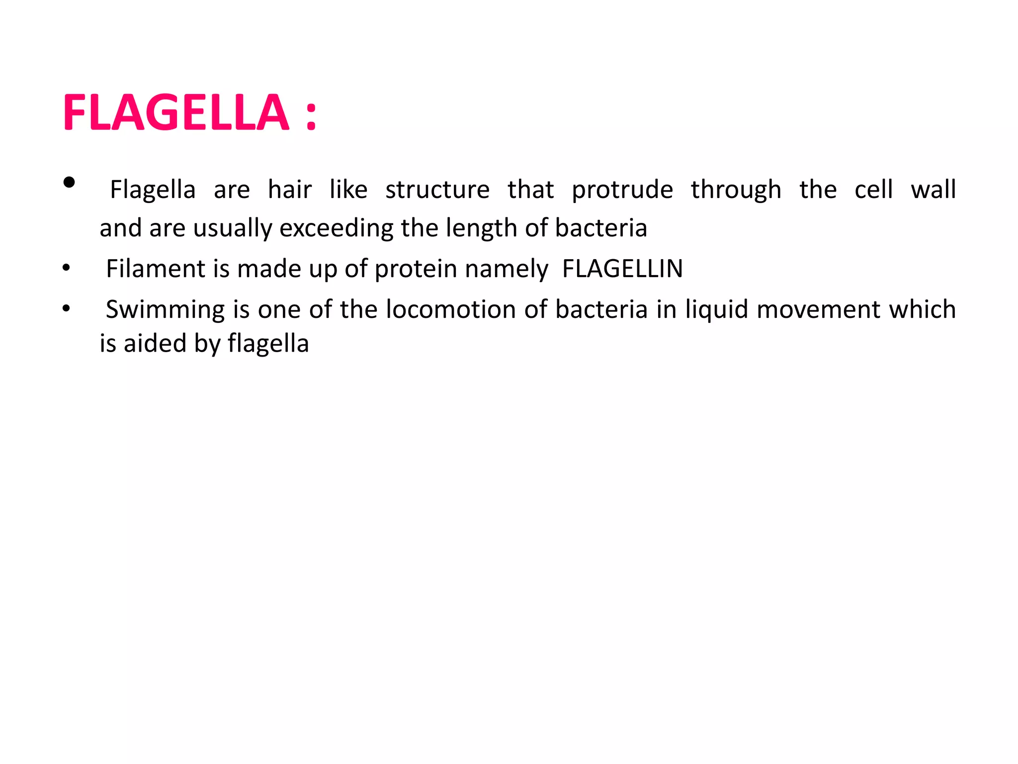 Types of flagella | PPTX