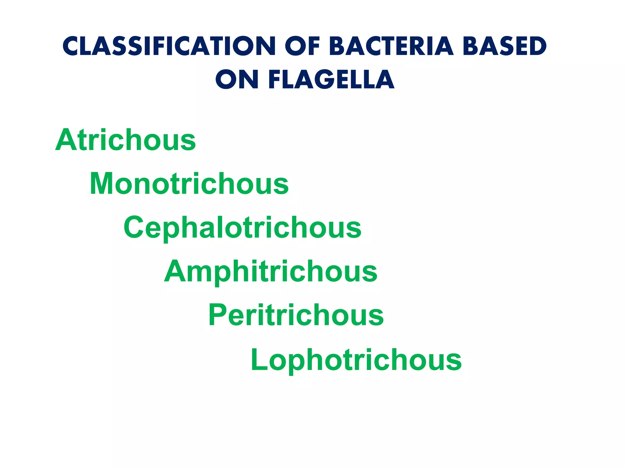 Types of flagella | PPTX