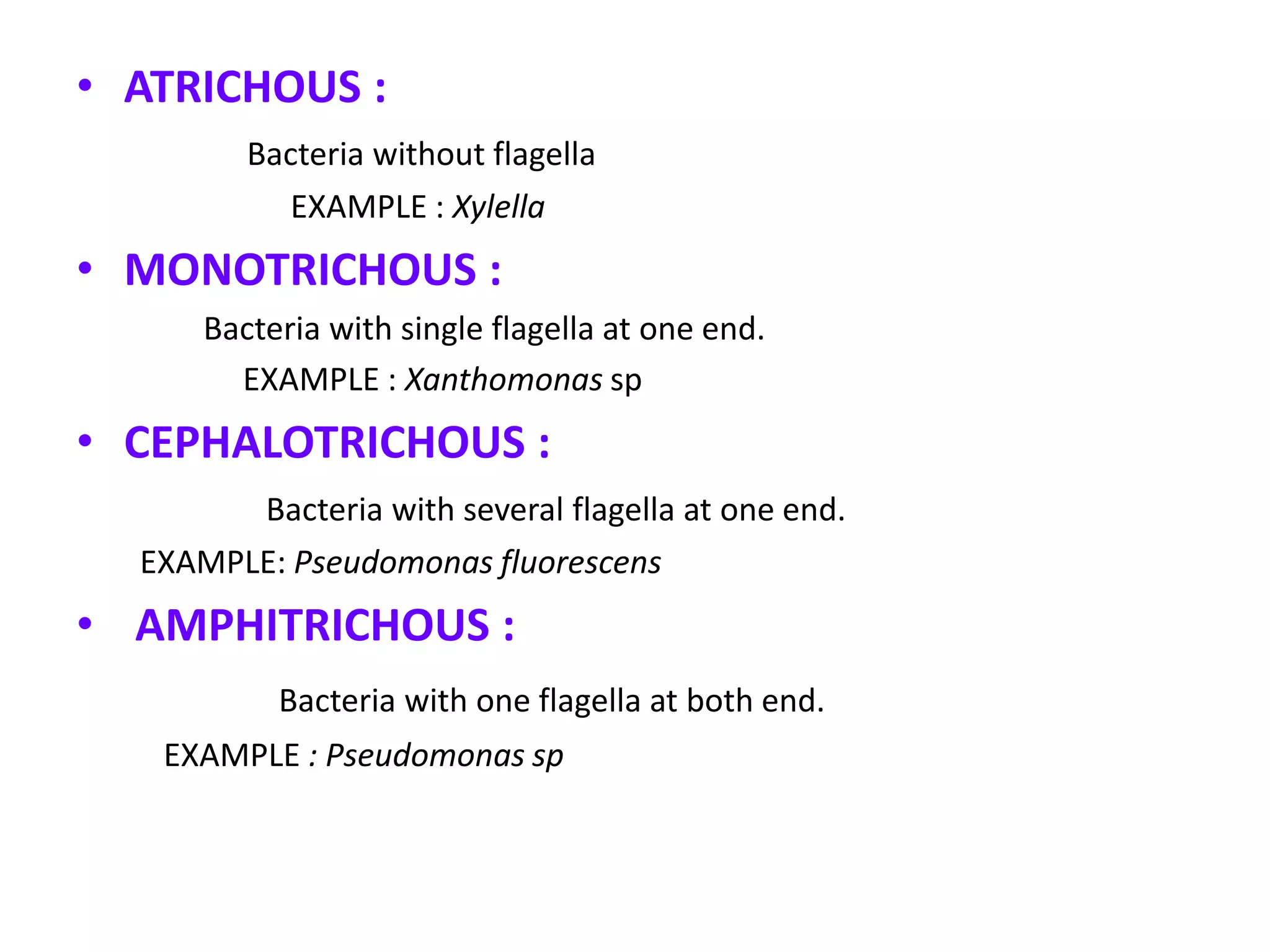 Types of flagella | PPTX