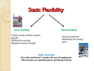 Types of flexibility training | PPT