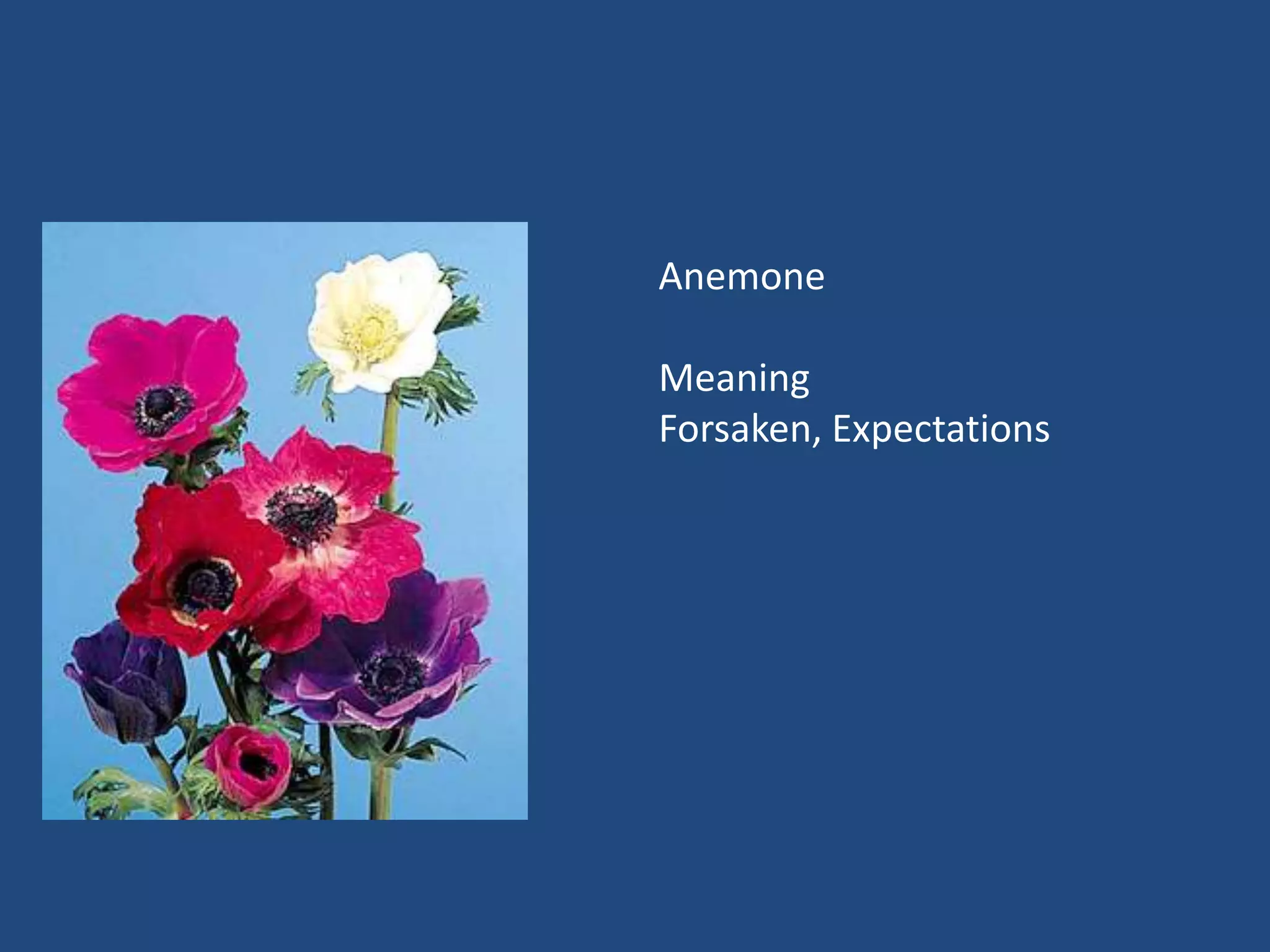 Types of flowers | PPT
