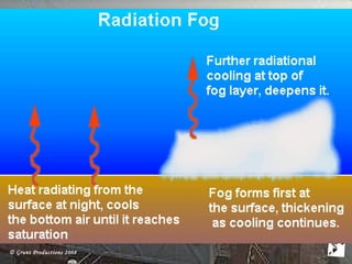 Types of fog lrg | PPT | Weather | Science