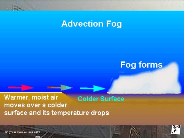 Types of fog lrg | PPT | Weather | Science