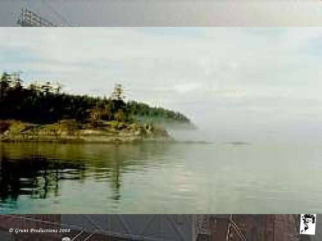 Types of fog lrg | PPT | Weather | Science