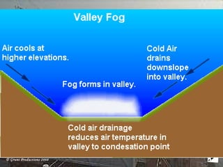 Types of fog lrg | PPT | Weather | Science