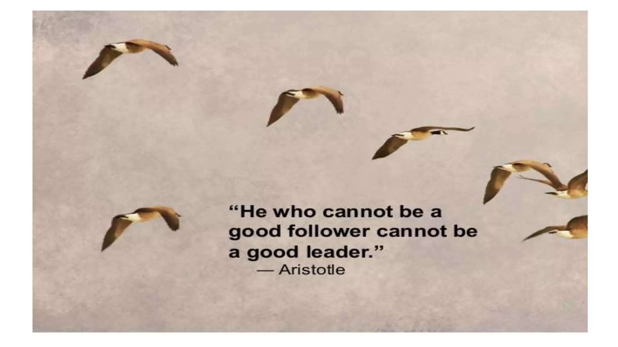 Types of followers | PPTX