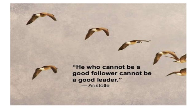 Types of followers | PPTX